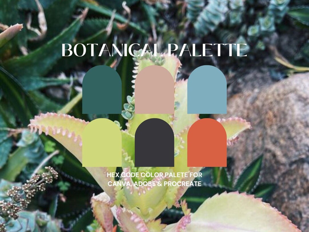 Botanical Garden Hex Code Color Palette - Etsy