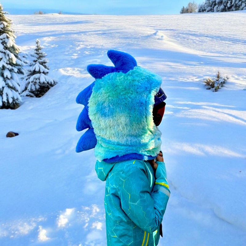 Snowboard Hood Kids - Etsy