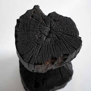 READY to SHIP Tree Stump Side Coffee Table. Wooden Black Table. Natural ...