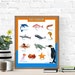 Sea Animals & Insects Printable Set, Learning Resource, Wall Print ...