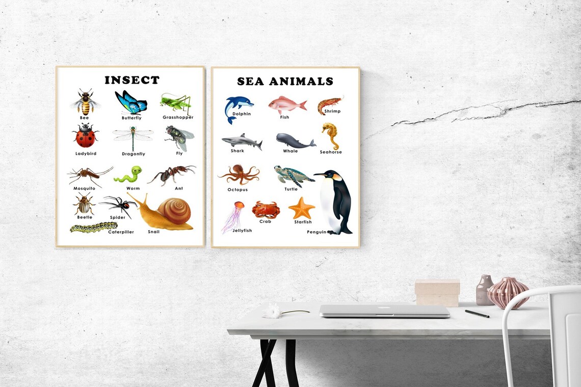 Sea Animals & Insects Printable Set Learning Resource Wall - Etsy