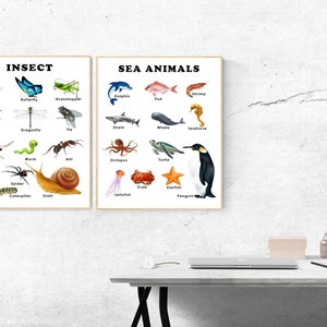 Sea Animals & Insects Printable Set, Learning Resource, Wall Print ...