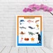 Sea Animals & Insects Printable Set, Learning Resource, Wall Print ...