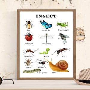 Sea Animals, Insects, Wild Animals and Farm Animals Printable Set ...