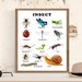 Sea Animals, Insects, Wild Animals and Farm Animals Printable Set ...