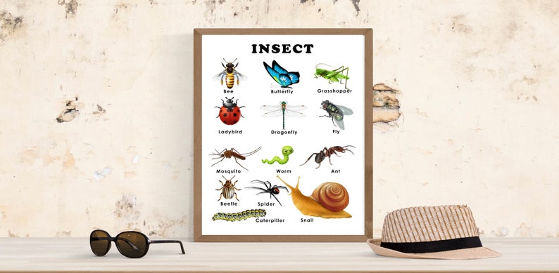Animals Printable Poster Set, Sea, Insects, Wild, Farm, Classroom Decor ...