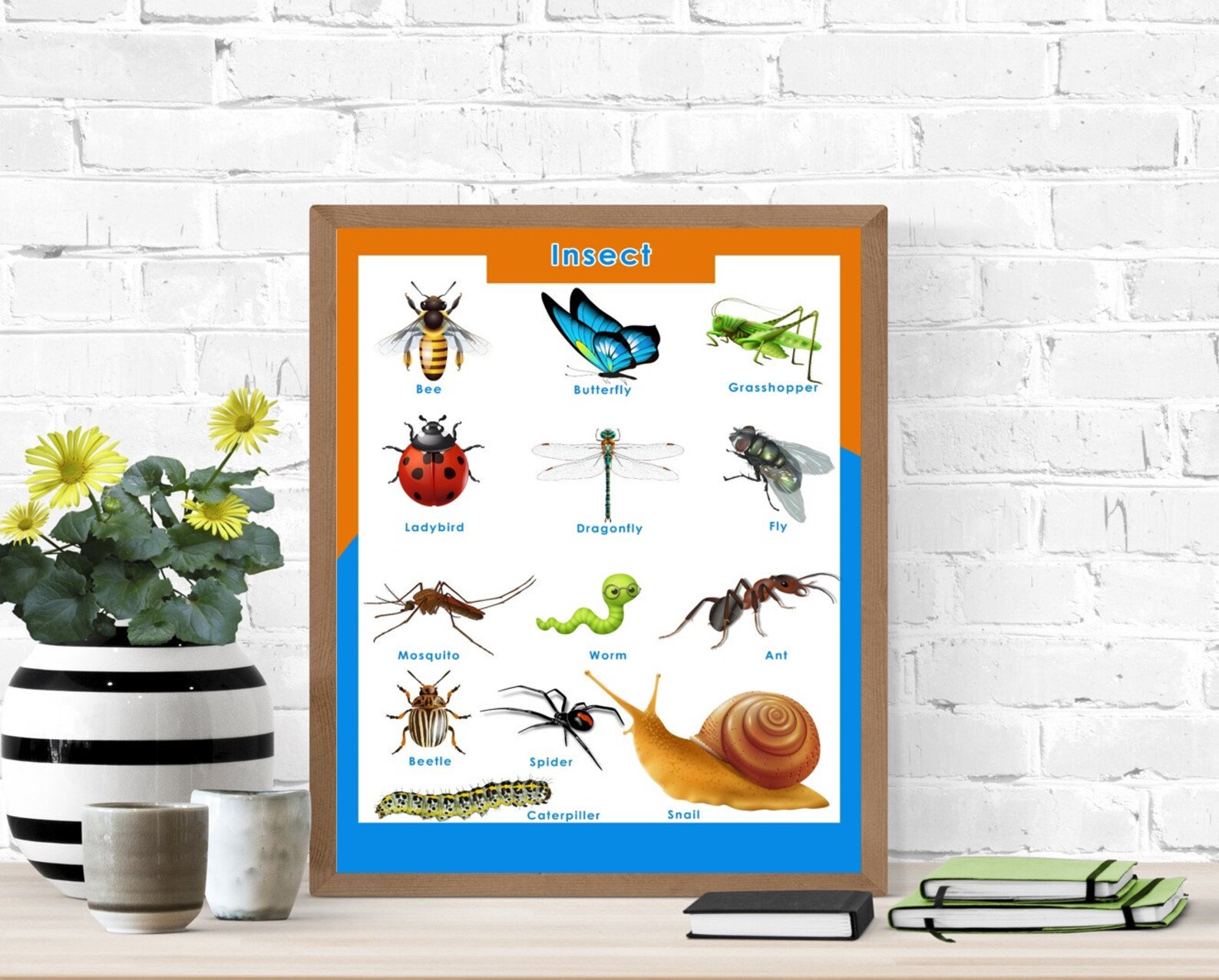 Sea Animals & Insects Printable Set Learning Resource Wall | Etsy