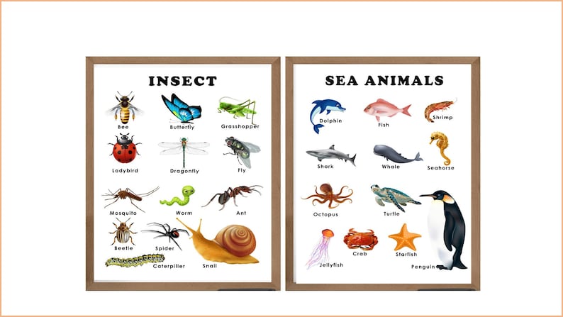 Sea Animals & Insects Printable Set, Learning Resource, Wall Print ...