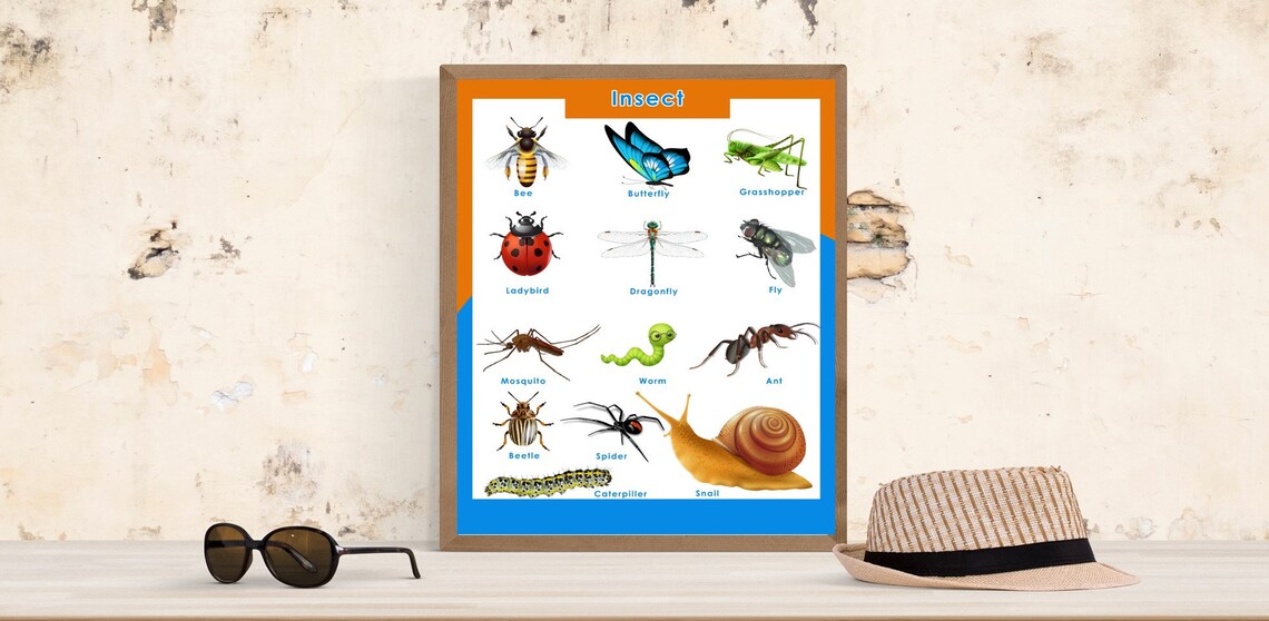 Sea Animals & Insects Printable Set Learning Resource Wall - Etsy