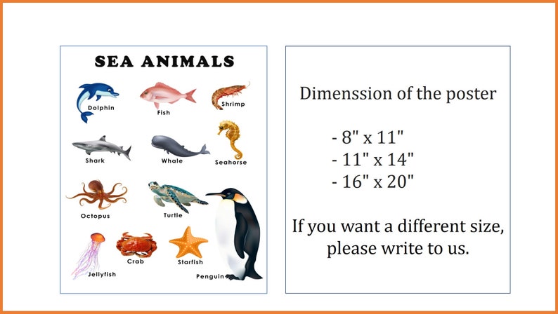 Sea Animals & Insects Printable Set, Learning Resource, Wall Print ...