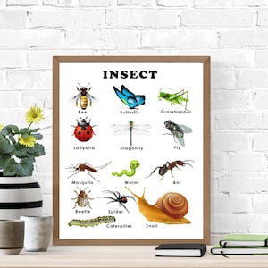 Sea Animals, Insects, Wild Animals and Farm Animals Printable Set ...