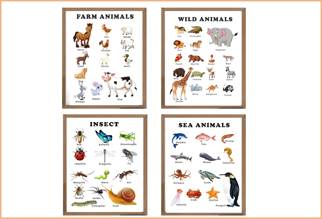 Sea Animals, Insects, Wild Animals and Farm Animals Printable Set ...