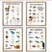 Sea Animals, Insects, Wild Animals and Farm Animals Printable Set ...