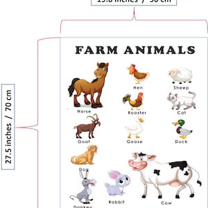Sea Animals, Insects, Wild Animals and Farm Animals Printable Set ...
