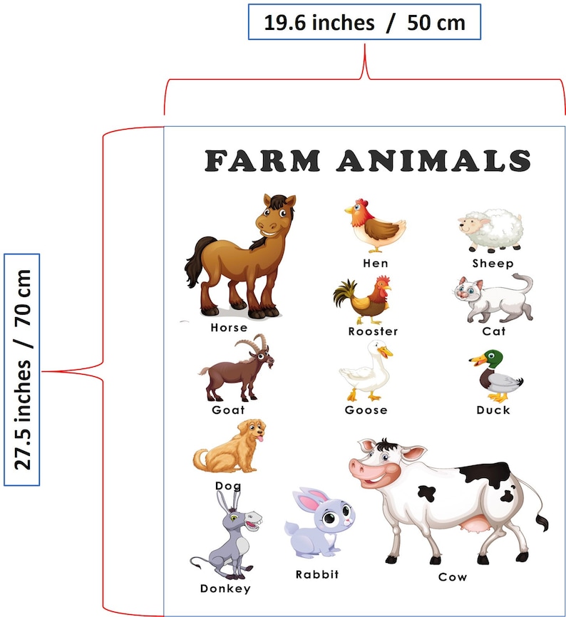 Sea Animals, Insects, Wild Animals and Farm Animals Printable Set ...