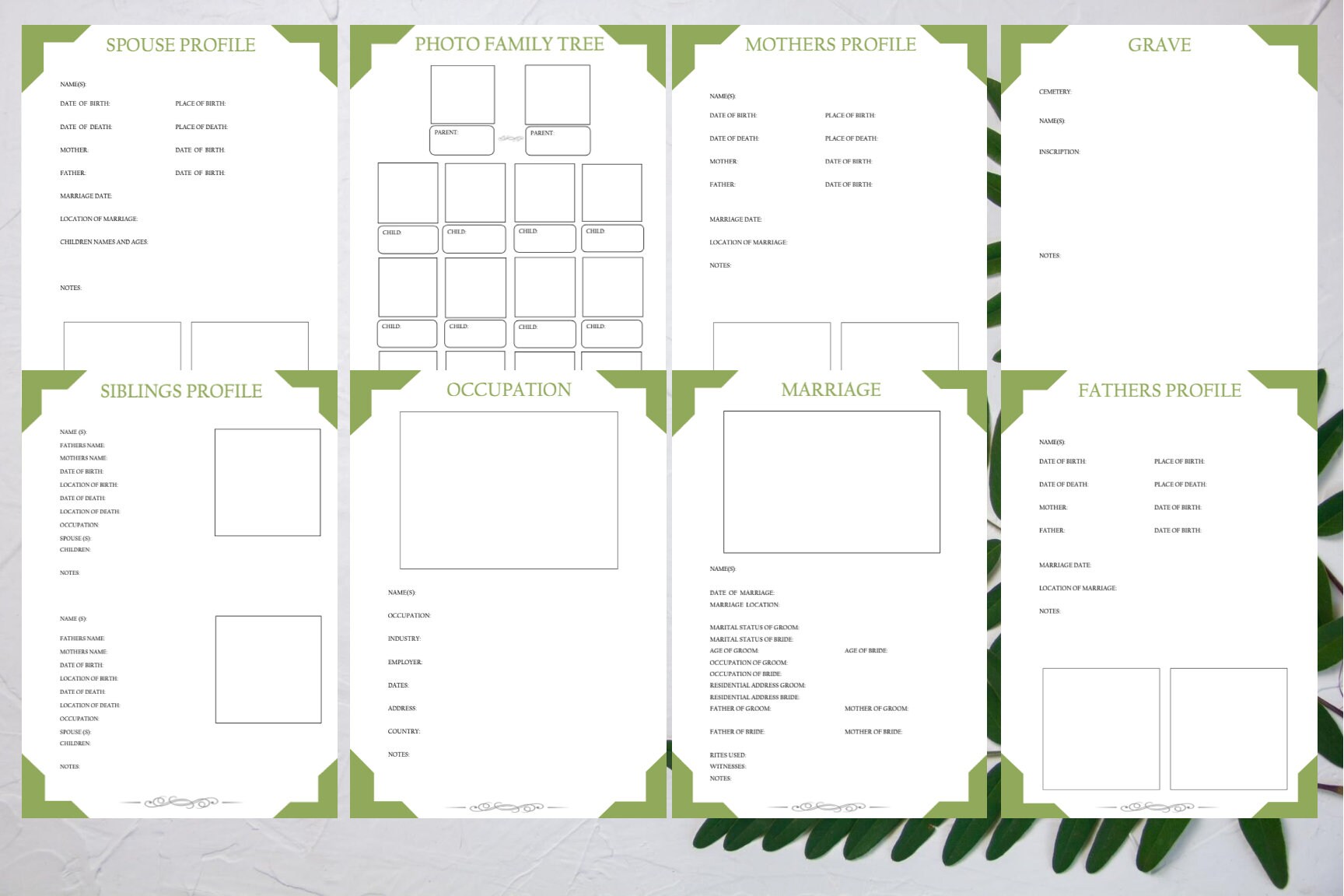 Basic Starter Pack - Light Olive (digital Download) Family History ...