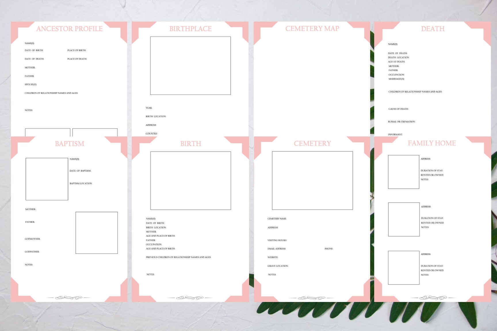 LOCKED TREE — Shop