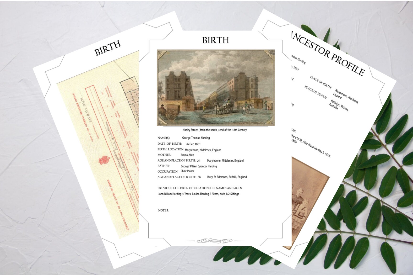 LOCKED TREE — Shop