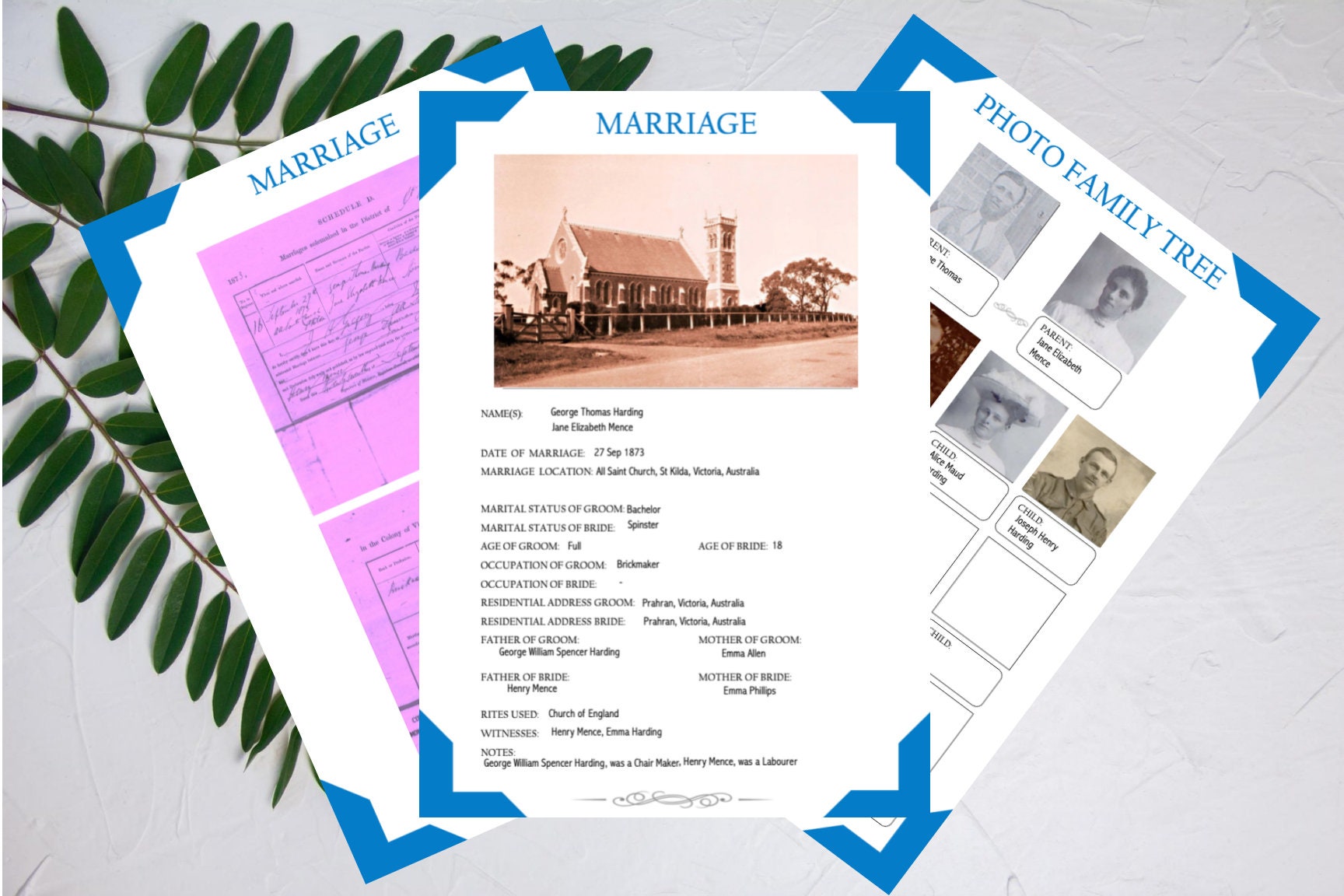 LOCKED TREE — Shop