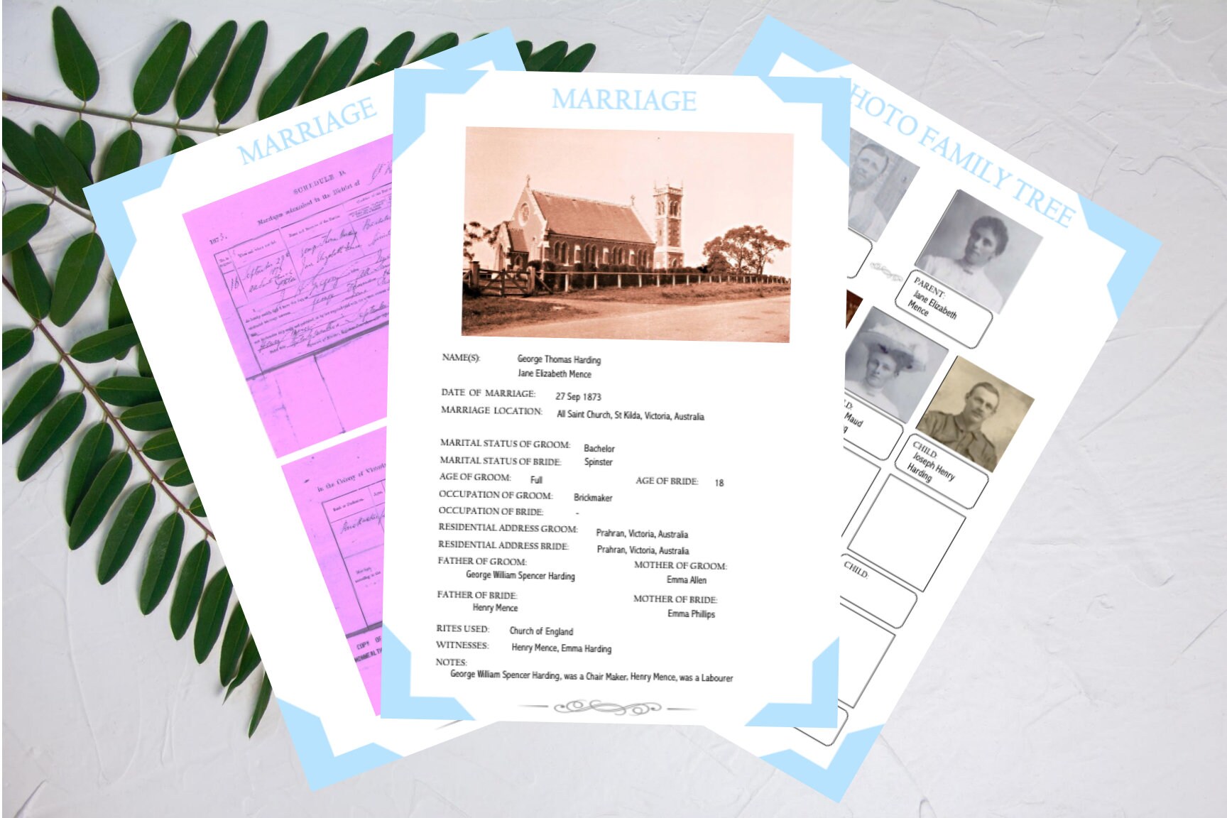 LOCKED TREE — Shop