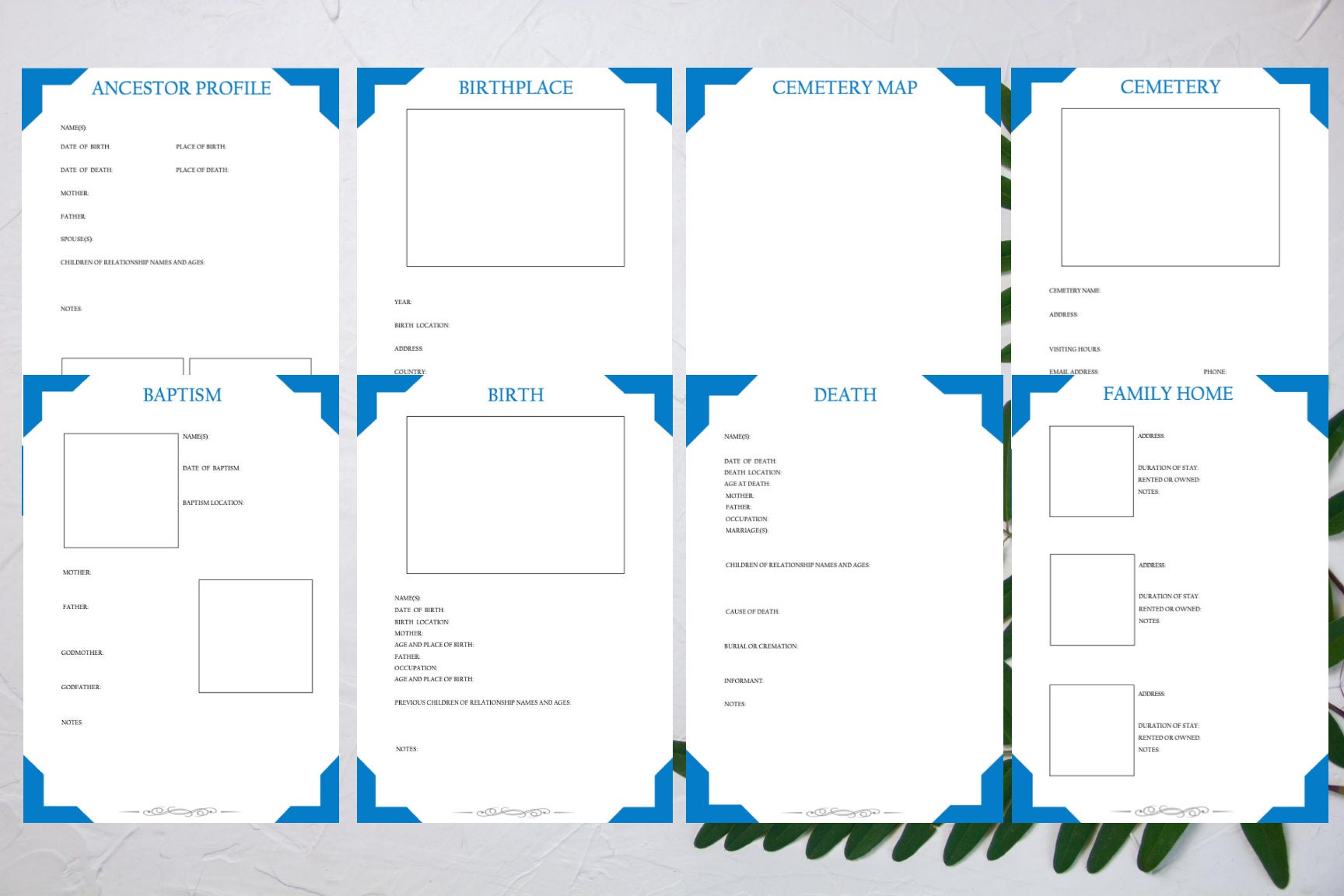 LOCKED TREE— Basic Starter Pack - Lochmara (Digital Download) Family History Pages