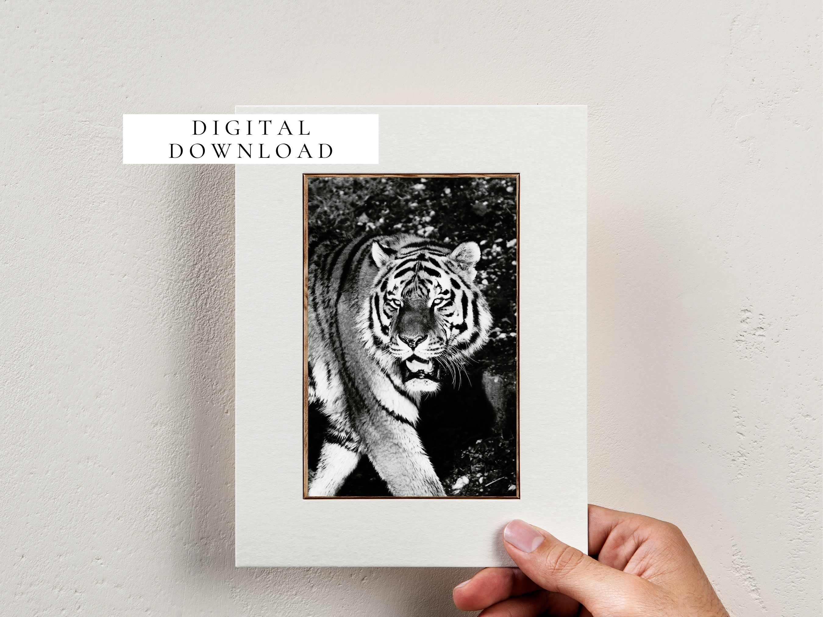 Tiger Printable Wall Print Digital Animal Print - Etsy