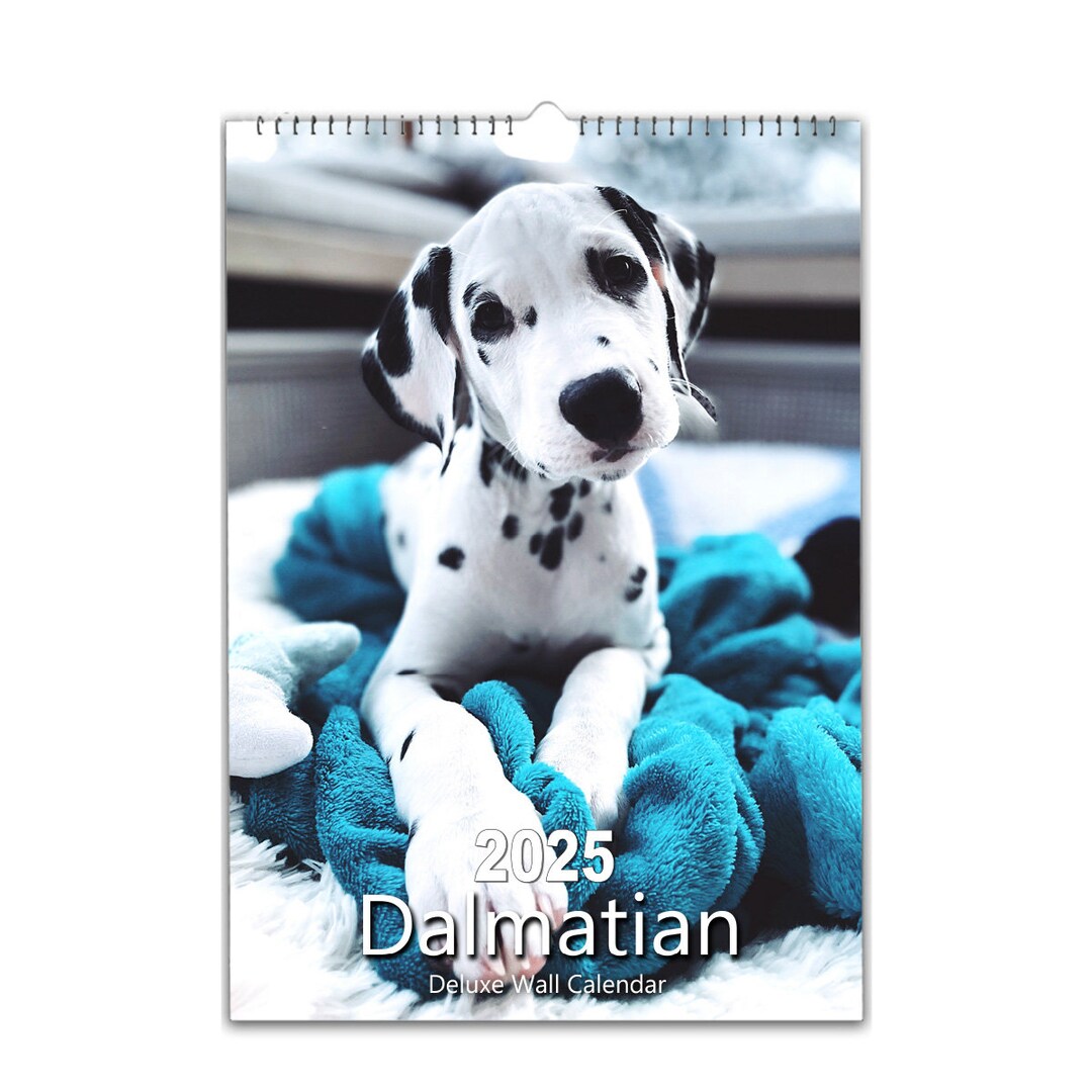 Dalmatians Dog Photo 2025/26 Calendar | Choose Start Month| Personalise ...