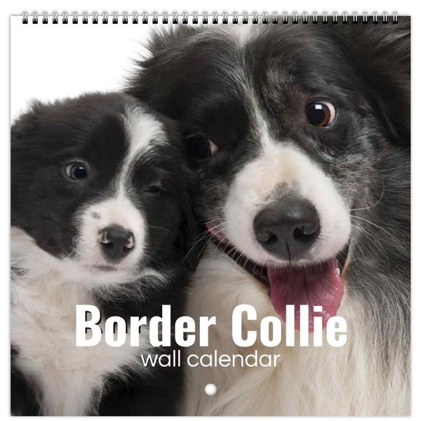 Border Collie Wall Calendar - Etsy