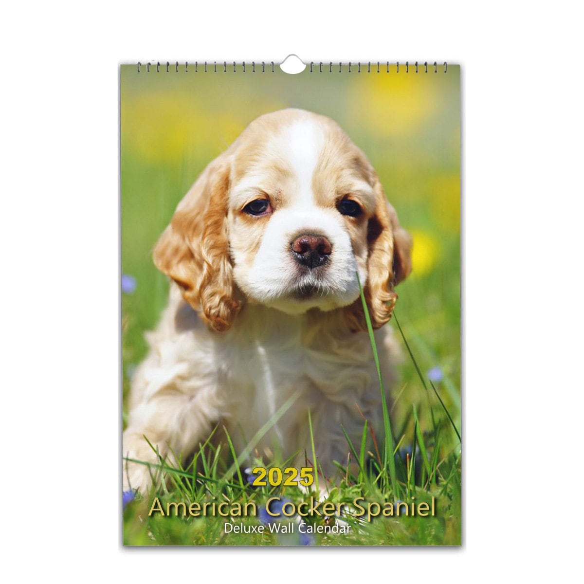 American Cocker Spaniel Dog Photo 2024/25/26 Calendar Choose Start ...