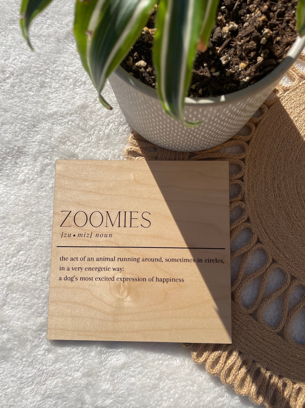 Zoomies Defintion Sign Personalized Dog Decor, Wooden Dog Decor, Trendy ...
