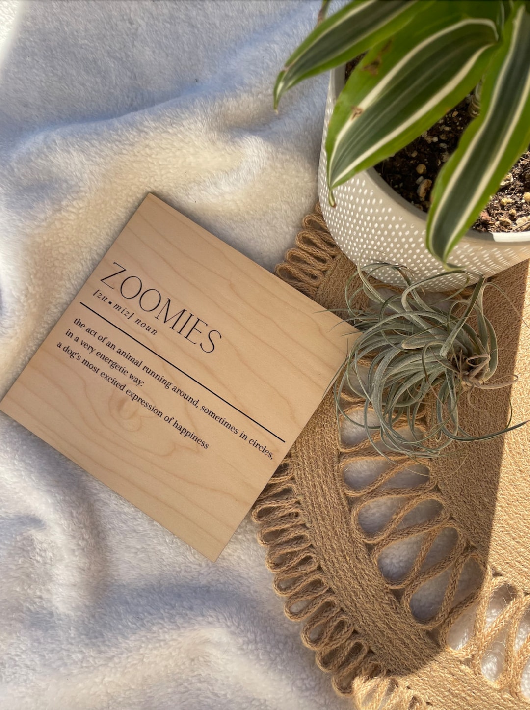 Zoomies Defintion Sign Personalized Dog Decor, Wooden Dog Decor, Trendy ...