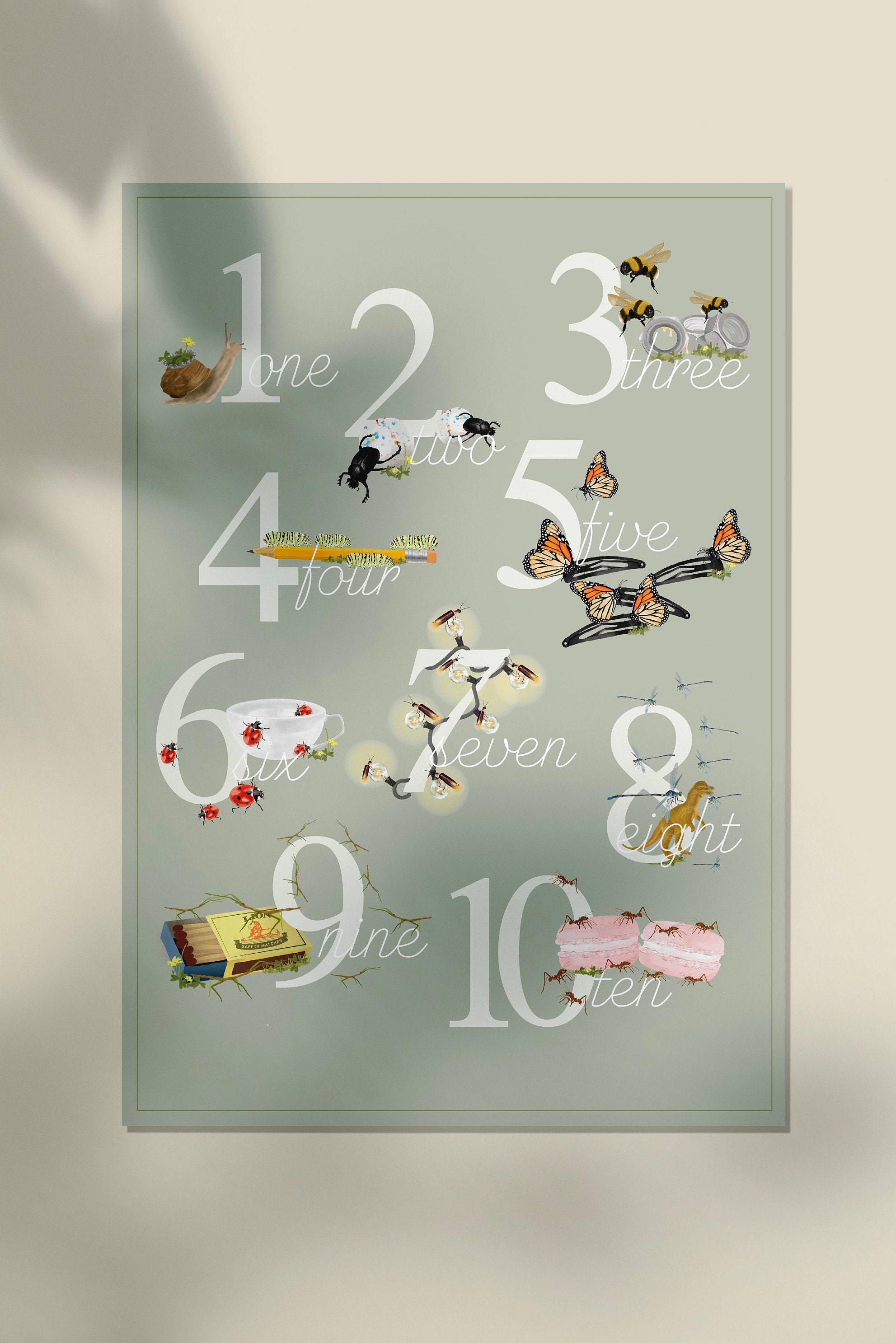 Insect Counting - Etsy