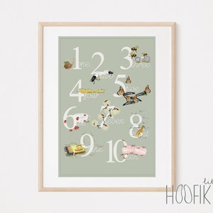 Insect Counting - Etsy