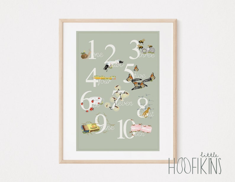 Insect Counting - Etsy