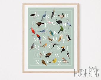 Bird Alphabet Chart Art Print - Etsy
