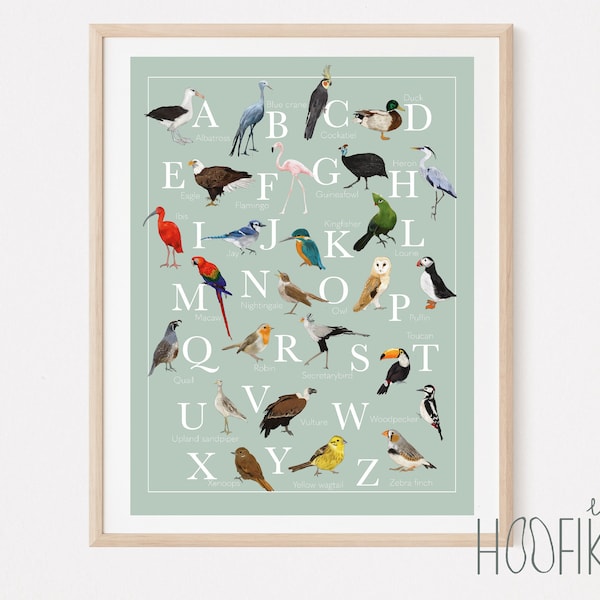 Bird Alphabet - Etsy