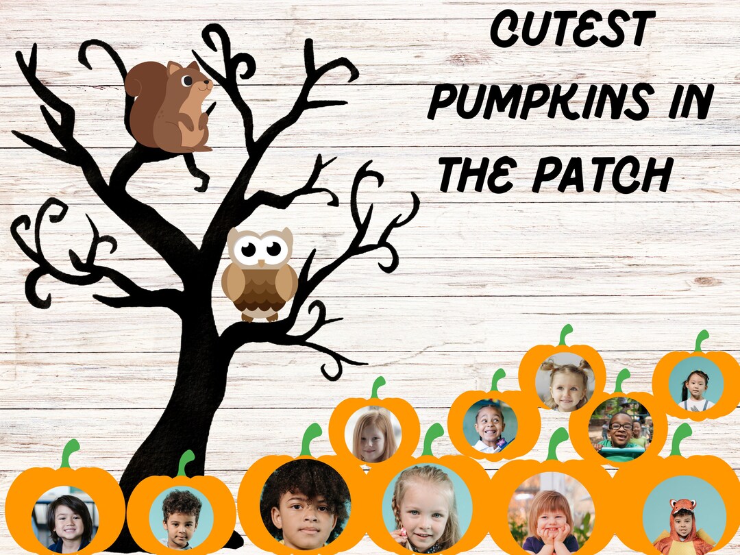 Thanksgiving Pumpkin Patch Bulletin Board Kit for Fall - Etsy