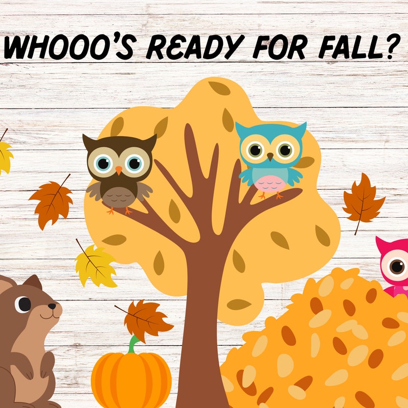 Bulletin Board Kit - Etsy