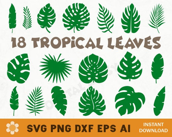 Tropical Leaves Svg Bundle Tropical Leaf Svg Monstera Leaf Etsy