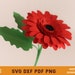 Paper Gerbera SVG Template, Paper Flower Template, DIY Paper Flower ...