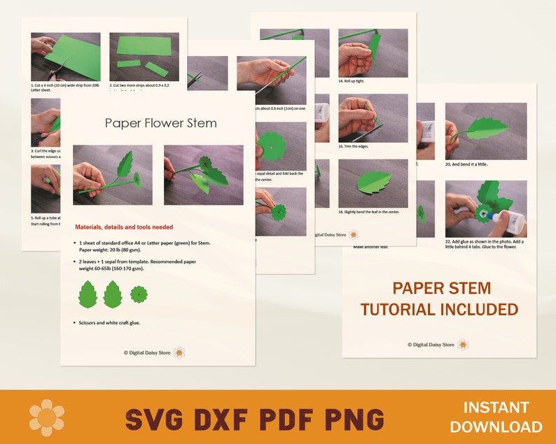 Paper Gerbera SVG Template, Paper Flower Template, DIY Paper Flower ...