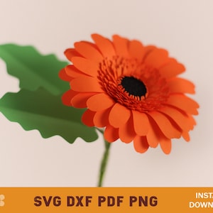 Paper Gerbera SVG Template, Paper Flower Template, DIY Paper Flower ...