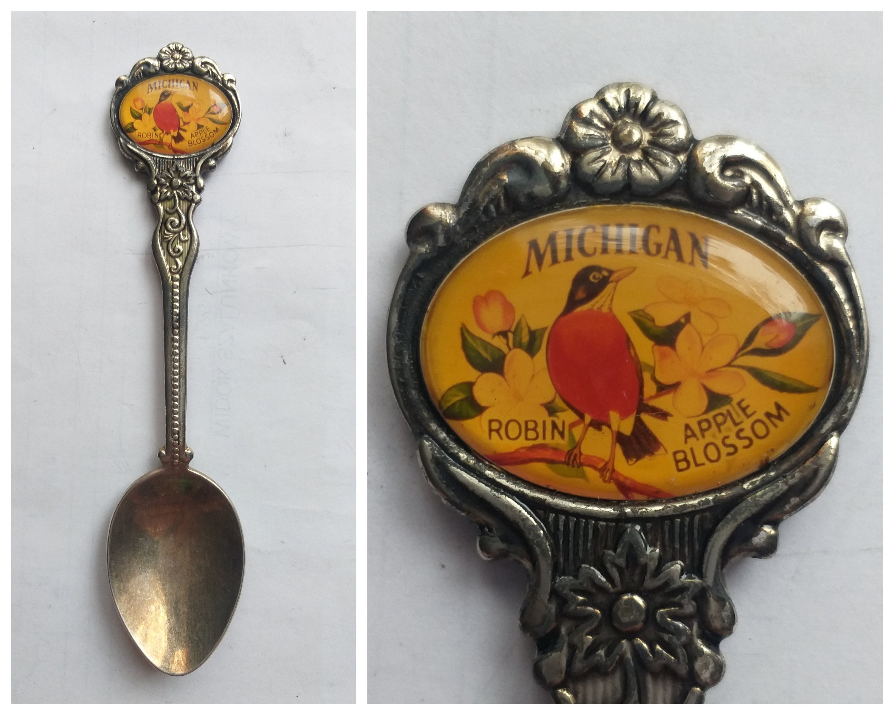 Sunken Gardens St Petersburg Florida Michigan Texas Sea Horse American ...