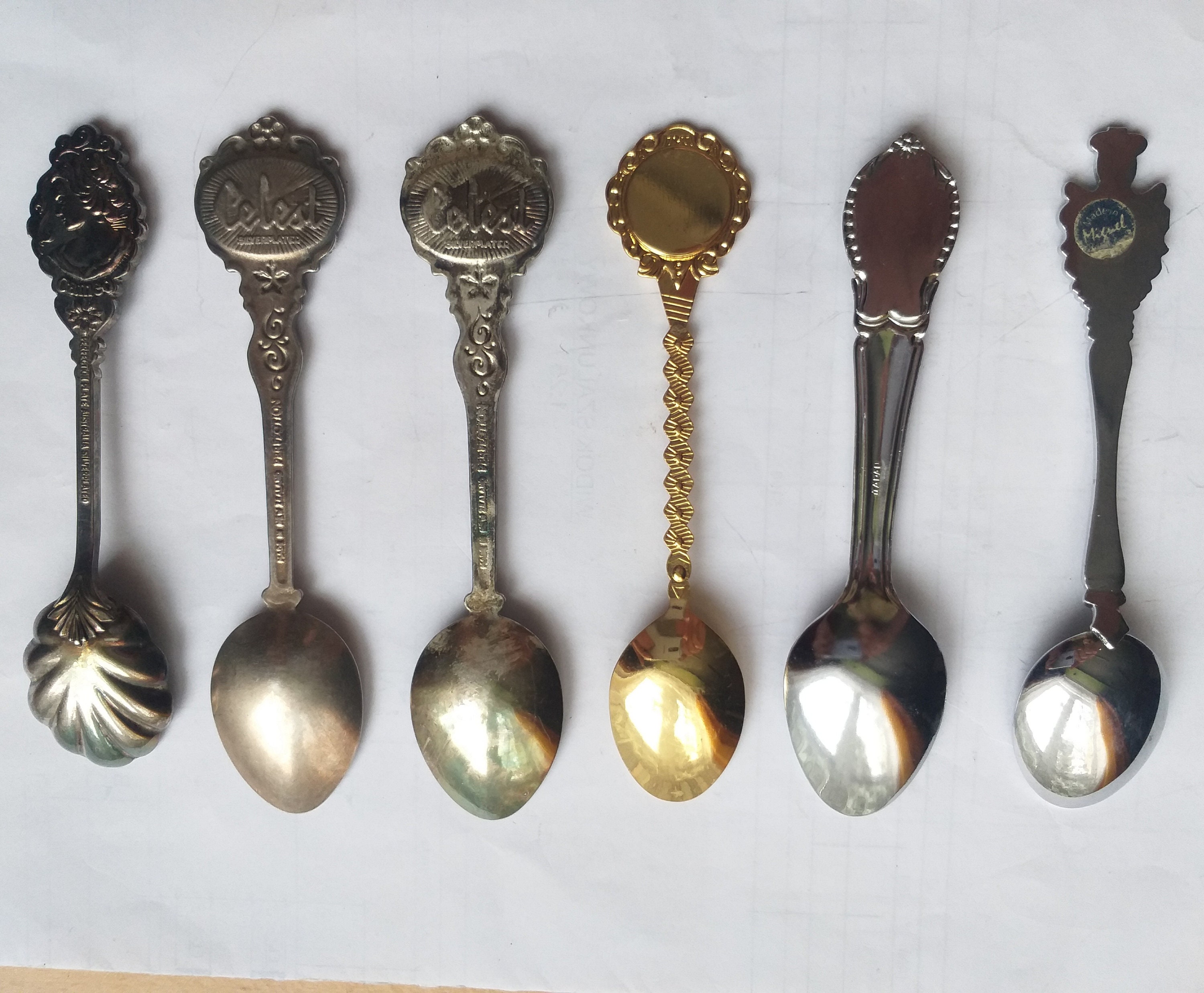 Sunken Gardens St Petersburg Florida Michigan Texas Sea Horse American ...