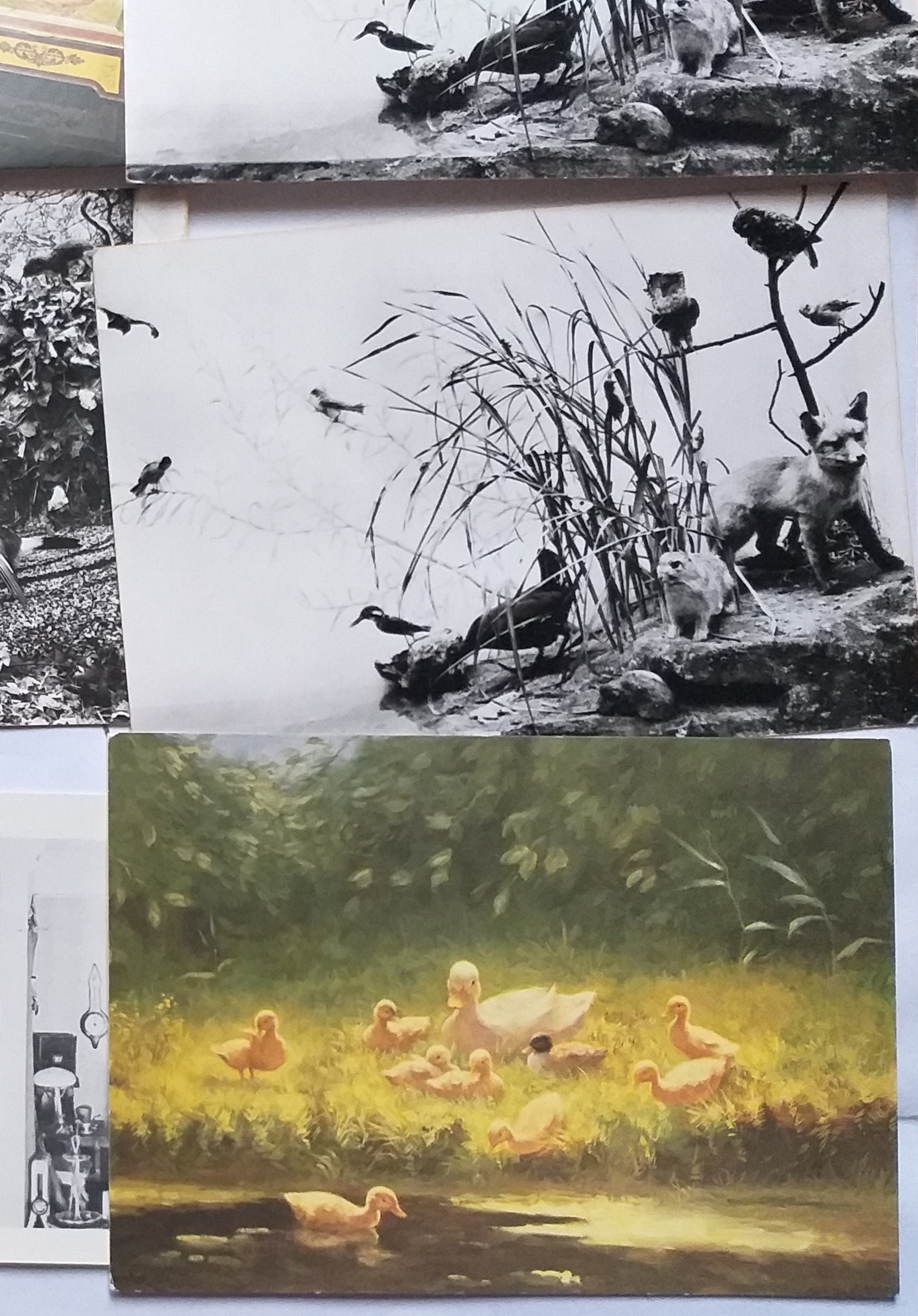 A Set of 13 Vintage British Postcards (unused) Featuring Landscape ...