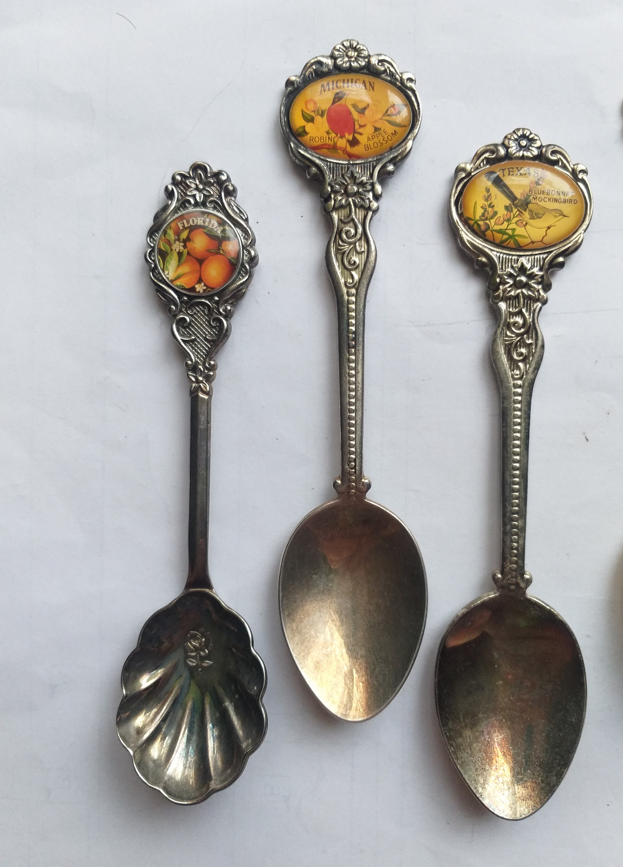 Sunken Gardens St Petersburg Florida Michigan Texas Sea Horse American ...