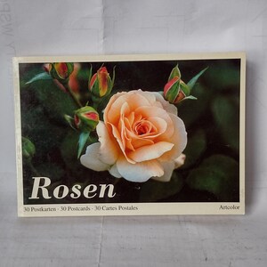 A Set of Beautiful Postcards With Roses, Printed in Germany in 1996 ...