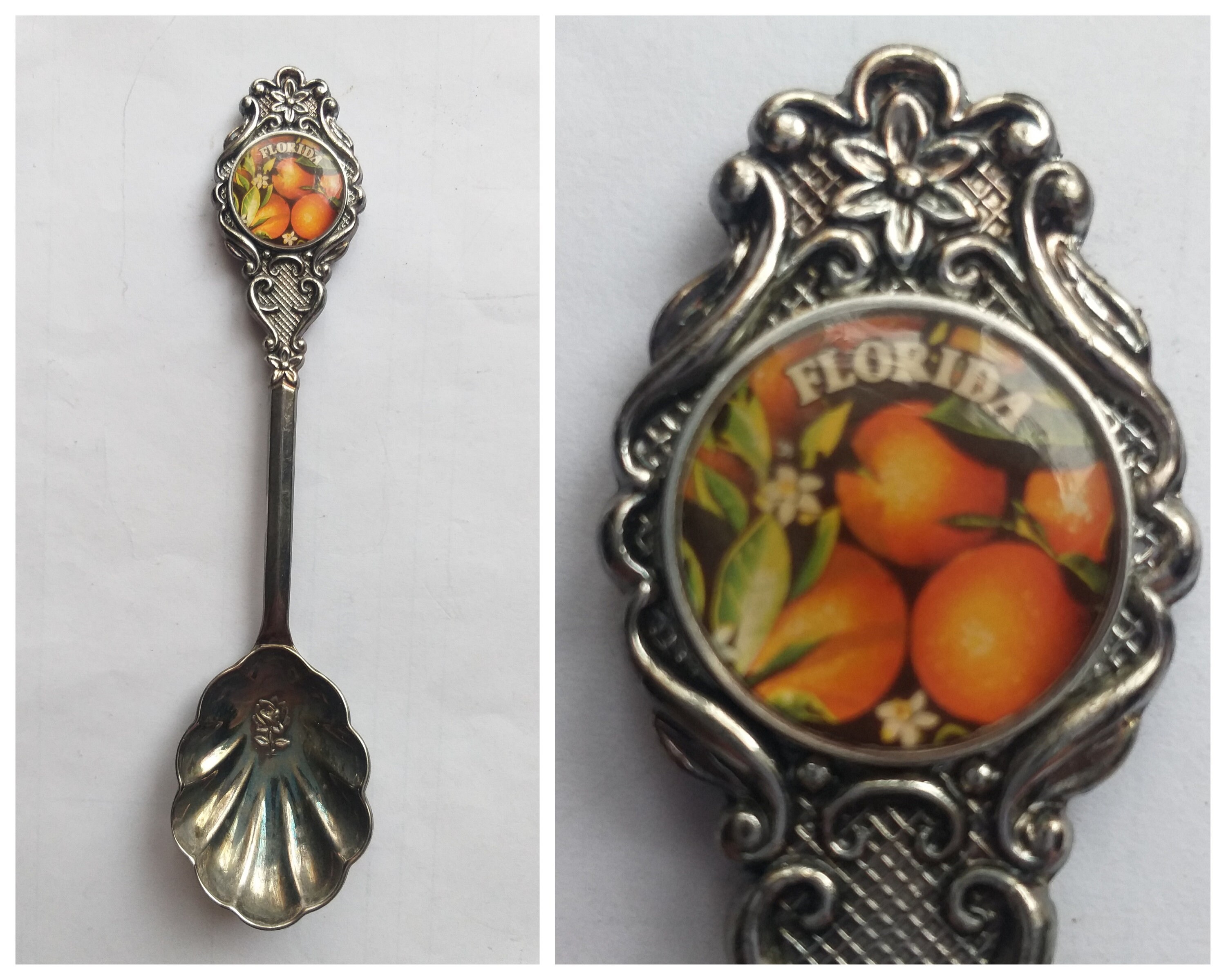 Sunken Gardens St Petersburg Florida Michigan Texas Sea Horse American ...