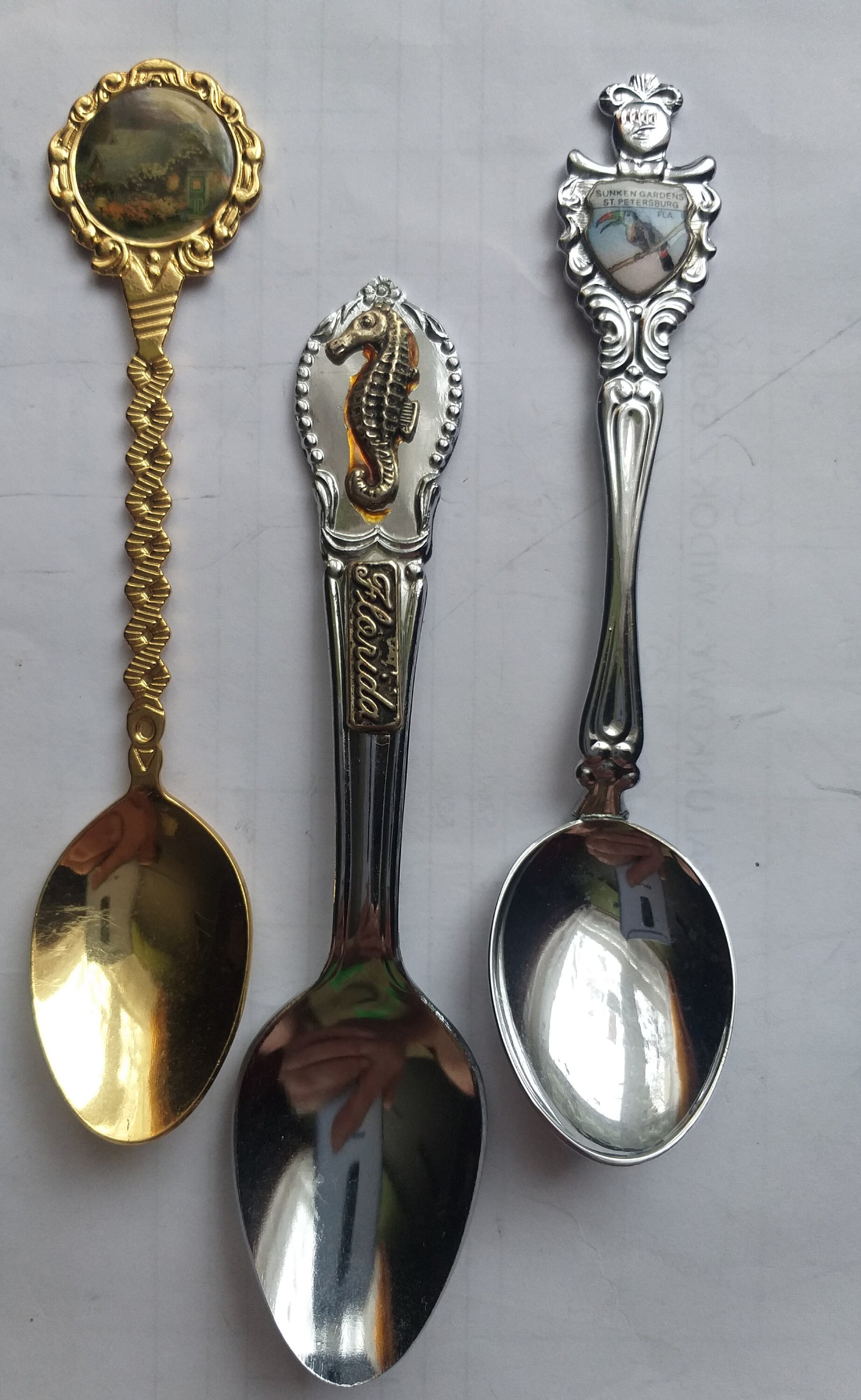 Sunken Gardens St Petersburg Florida Michigan Texas Sea Horse American ...