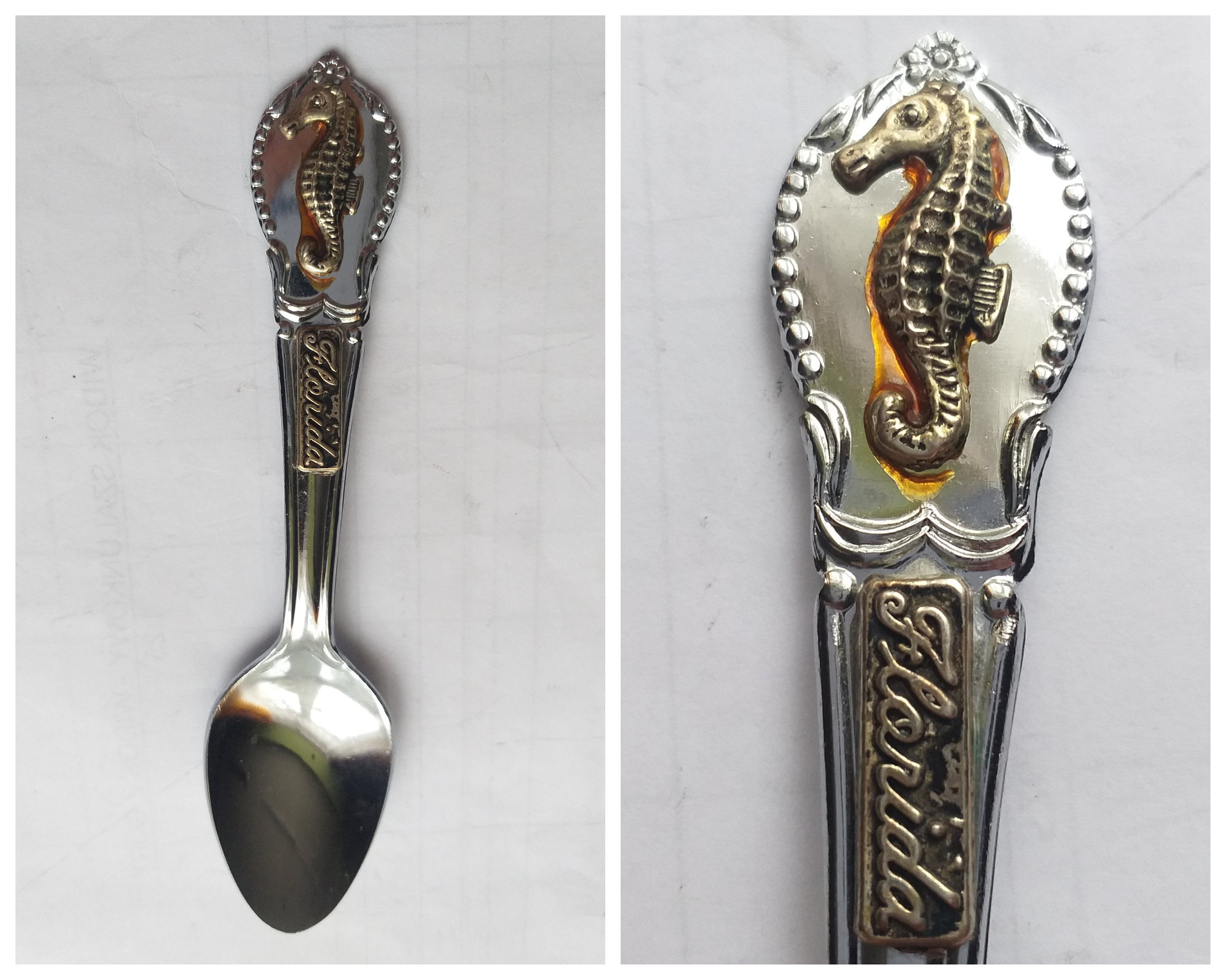 Sunken Gardens St Petersburg Florida Michigan Texas Sea Horse American ...